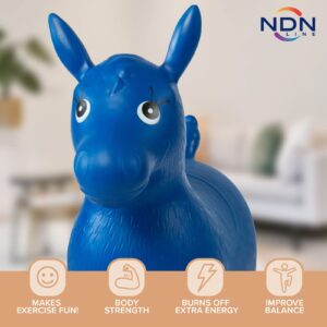 NDN LINE Bouncy Horse - Birthday Gift for 2 year old Hopper Horse Inflatable Jumping Animal with Pump (SINGLE)