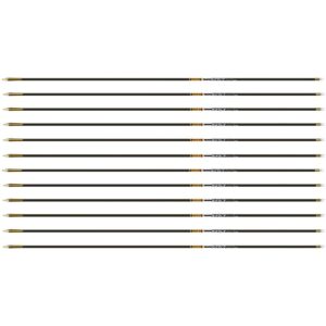 gold tip pierce platinum shaft (1 dozen), black, 300