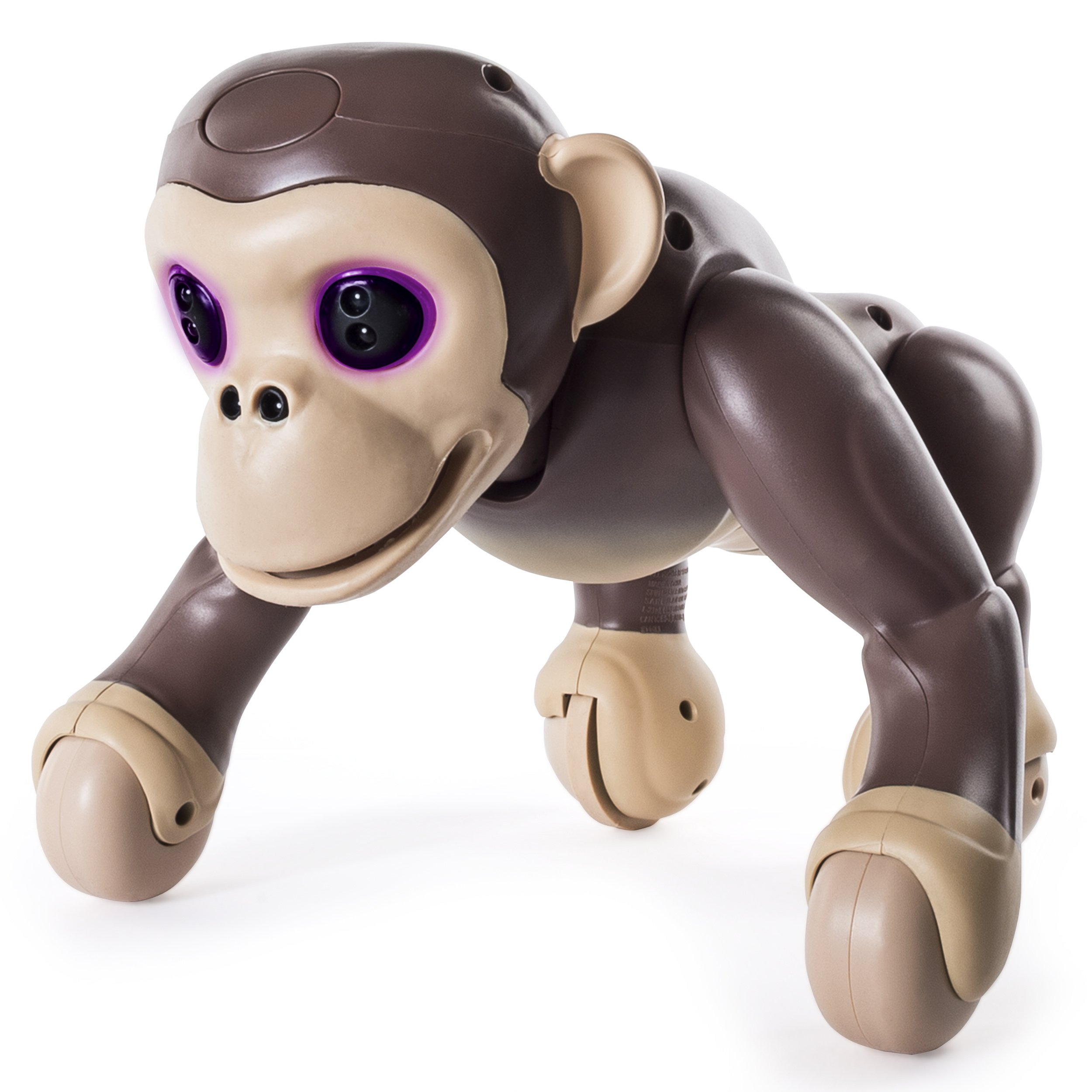 Zoomer - Chimp