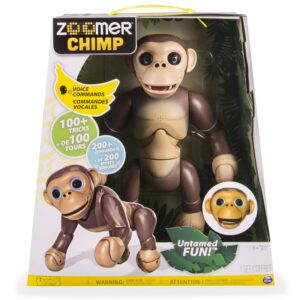 Zoomer - Chimp