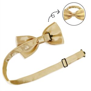 Alizeal Men's Pre-Tied Adjustable Length Solid Color Tuxedo Party Bow Tie, Champagne