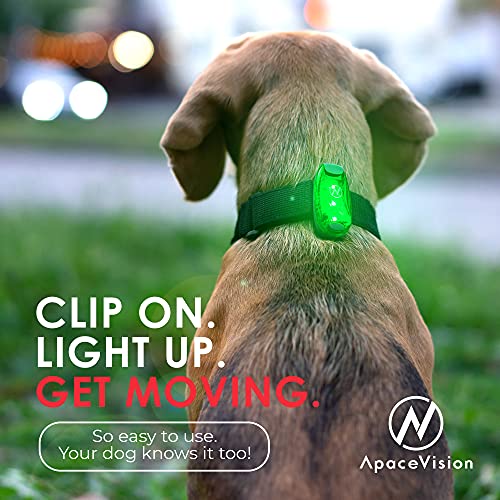 LED Safety Light (2 Pack) - Clip On Strobe/Running Lights for Runners, Dog, Bike, Walking, Boat, Kayak, Stroller and More - High Visibility Accessories for Your Reflective Gear, Bicycle, Green