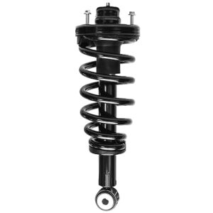 Detroit Axle - 2 Rear Struts for 2007-2017 Ford Expedition Lincoln Navigator [w/o Electronic Suspension] Complete Struts w/Coil Spring Replacement Ready Strut Shock Assembly