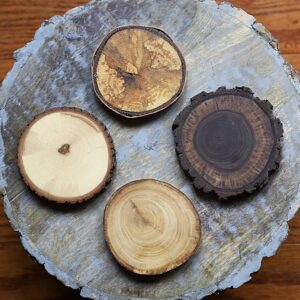 variety pack natural tree wood coasters with bark (4-pack) | coasters for drinks, bars, mancaves, coffee tables | rustic home decor