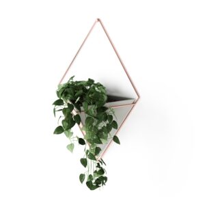 umbra trigg hanging planter vase & geometric wall decor containers-for succulents, air, mini cactus, faux plants and more, large, concrete/copper