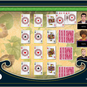 Hoyle Official Card Games (for Windows) [Download]