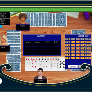 Hoyle Official Card Games (for Windows) [Download]