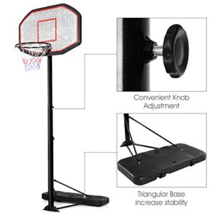 Giantex Portable Basketball Hoop Stand, Adjustable Height 6.5-10 ft, 43Inch Backboard, Portable Basketball Hoop & Goal Basketball System Stand for Kids Youth Indoor Outdoor Use