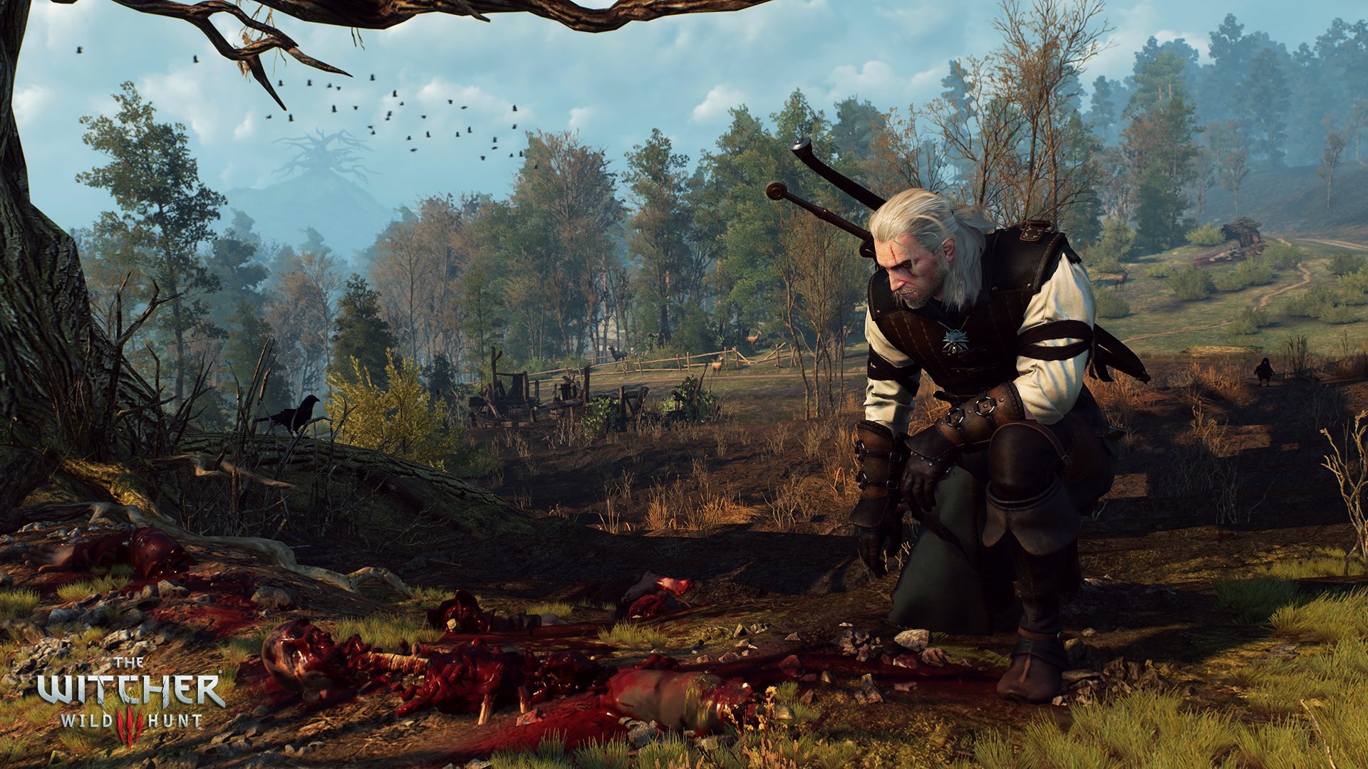 The Witcher 3 (PS4)