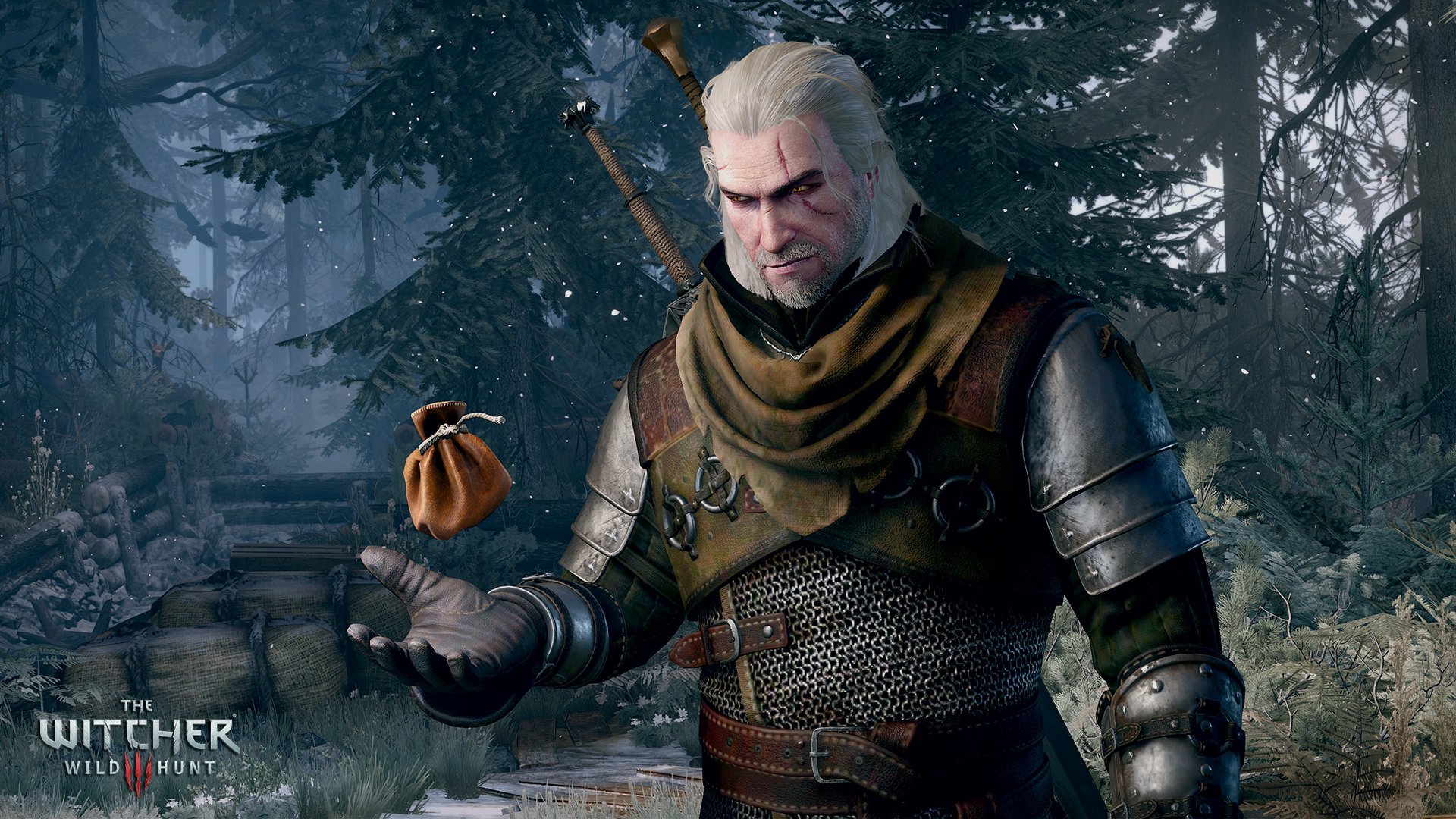 The Witcher 3 (PS4)