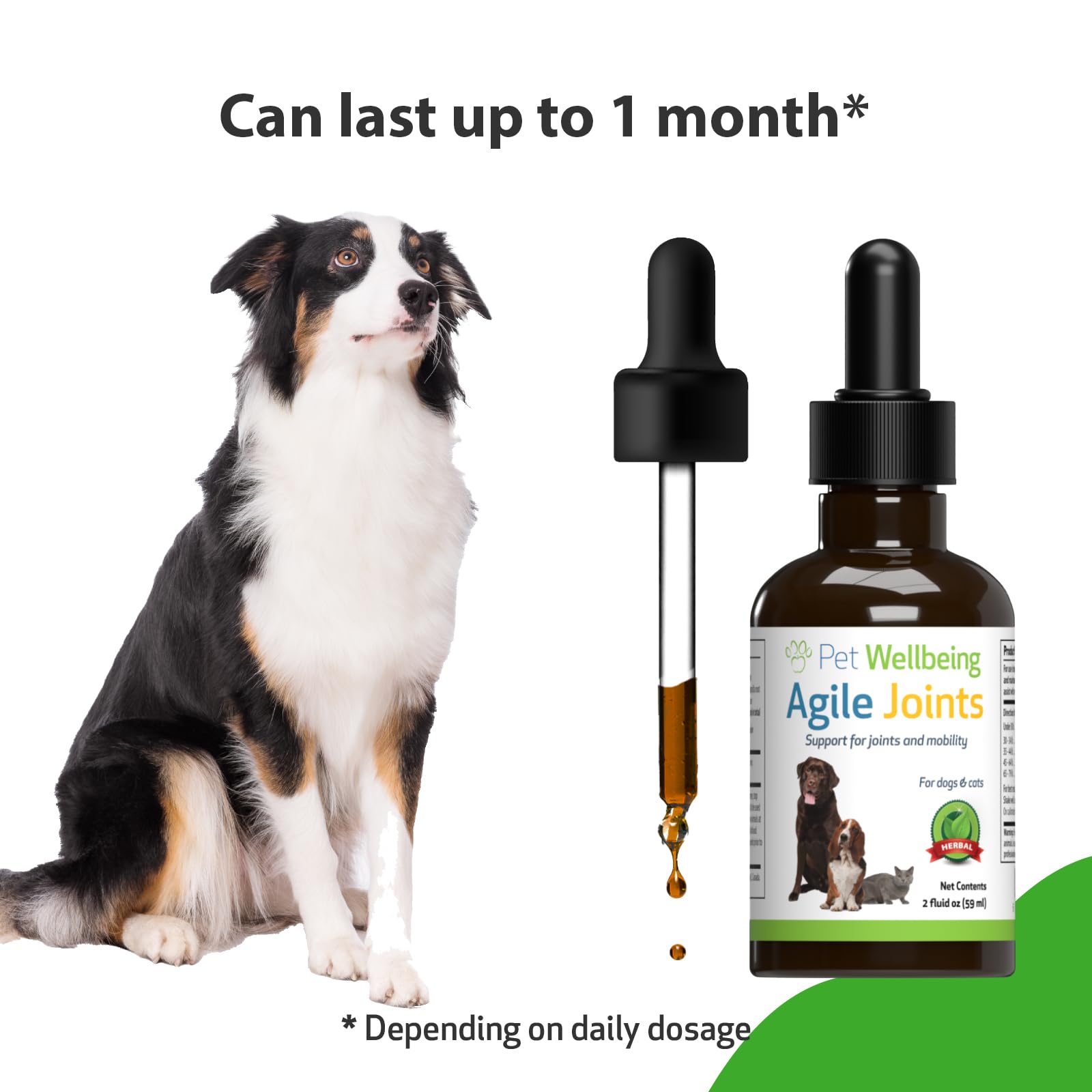 Pet Wellbeing Agile Joints for Dogs - Vet-Formulated - Joint Health, Mobility, Ease of Movement - Natural Herbal Supplement 2 oz (59 ml)