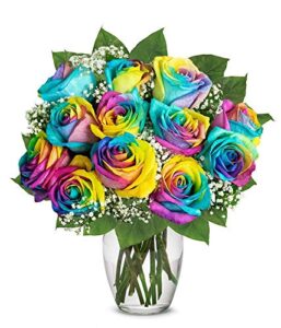 from you flowers - one dozen wild rainbow roses with glass vase (fresh flowers) birthday, anniversary, get well, sympathy, congratulations, thank you