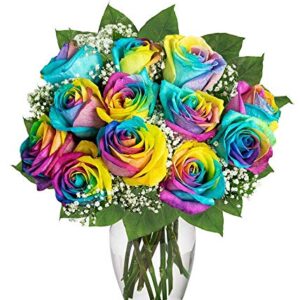 From You Flowers - One Dozen Wild Rainbow Roses with Glass Vase (Fresh Flowers) Birthday, Anniversary, Get Well, Sympathy, Congratulations, Thank You