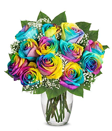 From You Flowers - One Dozen Wild Rainbow Roses with Glass Vase (Fresh Flowers) Birthday, Anniversary, Get Well, Sympathy, Congratulations, Thank You