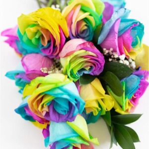 From You Flowers - One Dozen Wild Rainbow Roses with Glass Vase (Fresh Flowers) Birthday, Anniversary, Get Well, Sympathy, Congratulations, Thank You