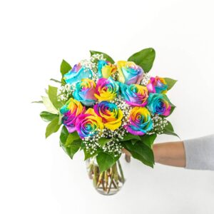 From You Flowers - One Dozen Wild Rainbow Roses with Glass Vase (Fresh Flowers) Birthday, Anniversary, Get Well, Sympathy, Congratulations, Thank You