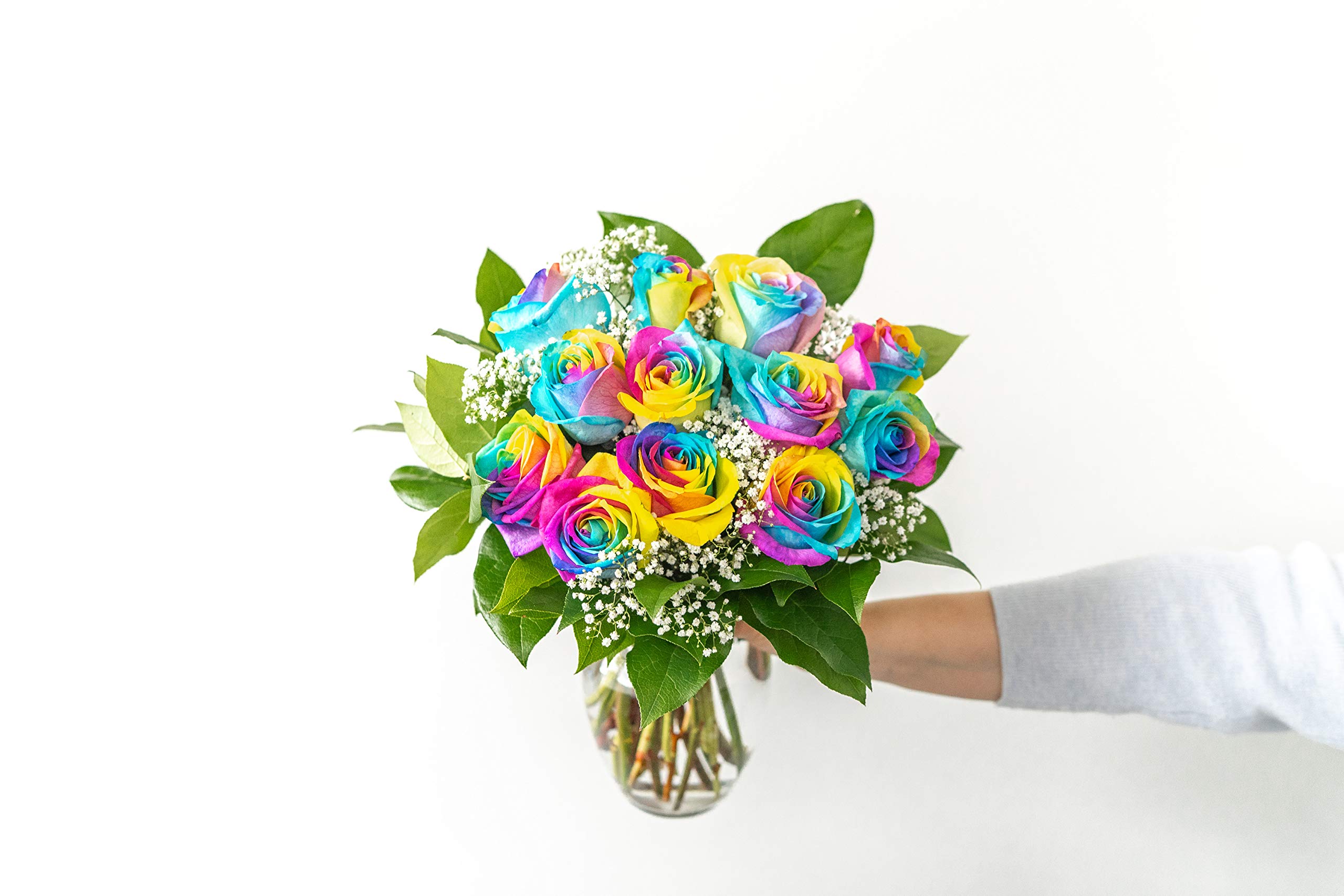 From You Flowers - One Dozen Wild Rainbow Roses with Glass Vase (Fresh Flowers) Birthday, Anniversary, Get Well, Sympathy, Congratulations, Thank You