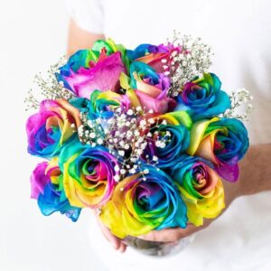 From You Flowers - One Dozen Wild Rainbow Roses with Glass Vase (Fresh Flowers) Birthday, Anniversary, Get Well, Sympathy, Congratulations, Thank You