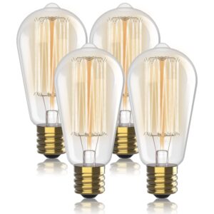 hudson bulb co. vintage incandescent edison light bulbs 60w (4 pack)- e26/e27 base 2100k dimmable decorative lightbulbs for outdoor and indoor - st64 style warm light - antique squirrel filament