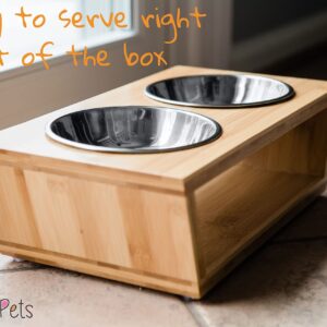 4” Raised Dog Bowls for Small Dogs and Cats. Elevated Dog Bowl Stand by Pawfect Pets. Pet Feeder Comes with Four Stainless Steel Dog Bowls