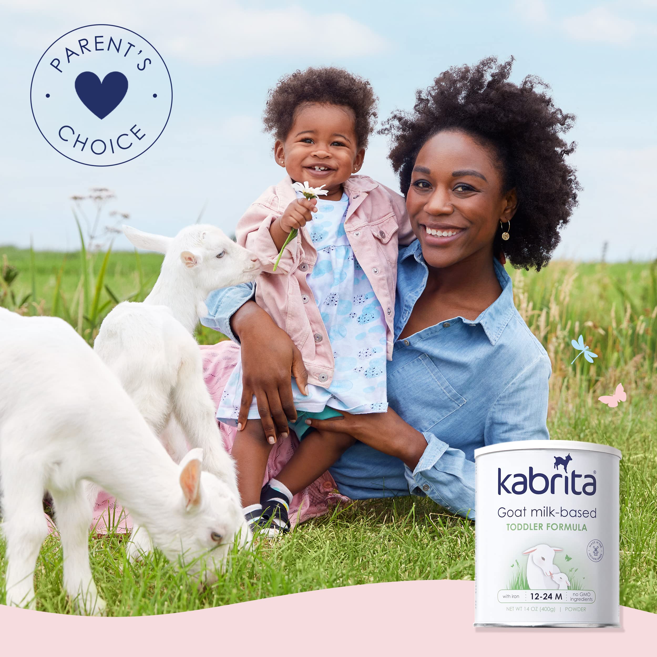 Kabrita Goat Milk Toddler Formula - Easy to Digest Baby Formula 12-24 Months - Contains Vitamin C, D, Iron, DHA, Non-GMO - Gentle on Sensitive Tummies - Formula Supporting Gut Health & Sleep - 14Oz (Pack of 6)