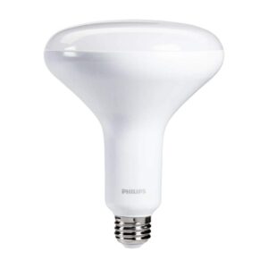 Philips 65W Equivalent Daylight 5000K BR40 Dimmable LED Flood Light Bulb