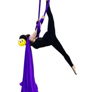 Dasking Premium Aerial Silks Equipment - Safe Deluxe Aerial Kit (Dark Purple)