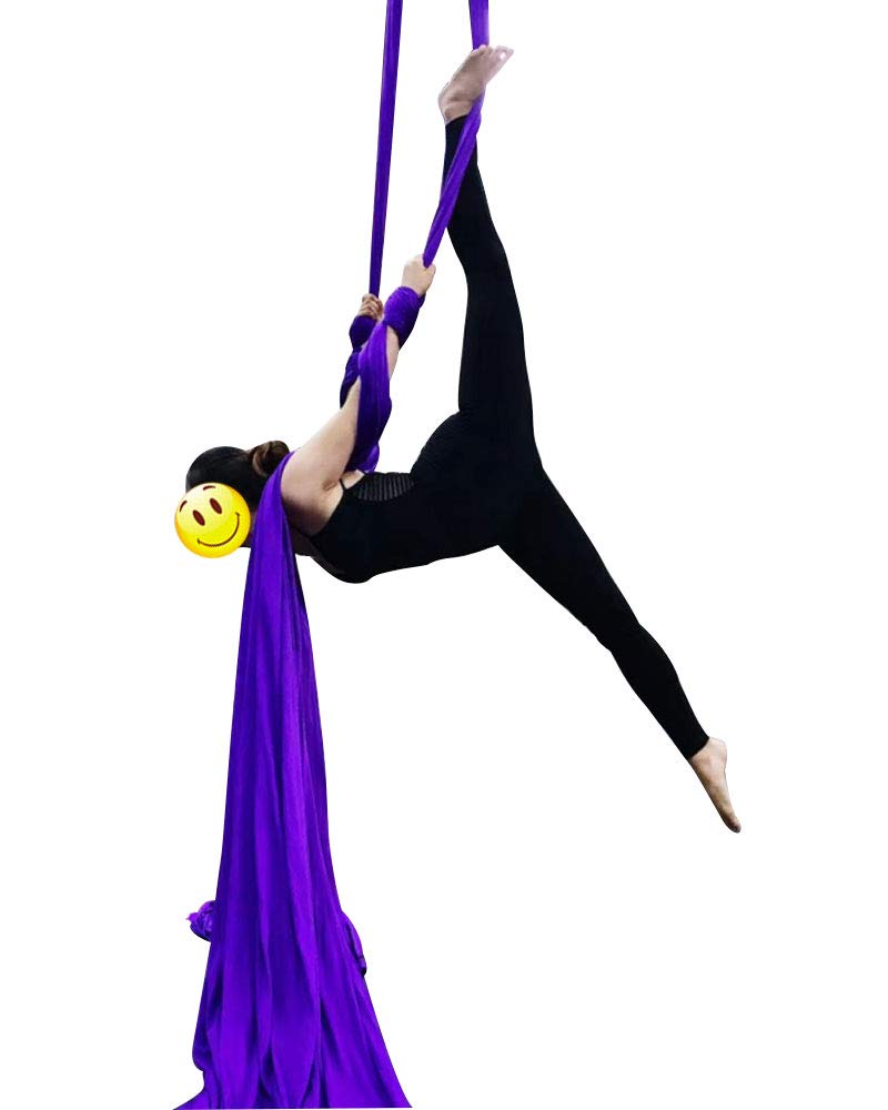 Dasking Premium Aerial Silks Equipment - Safe Deluxe Aerial Kit (Dark Purple)