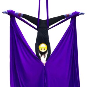 Dasking Premium Aerial Silks Equipment - Safe Deluxe Aerial Kit (Dark Purple)