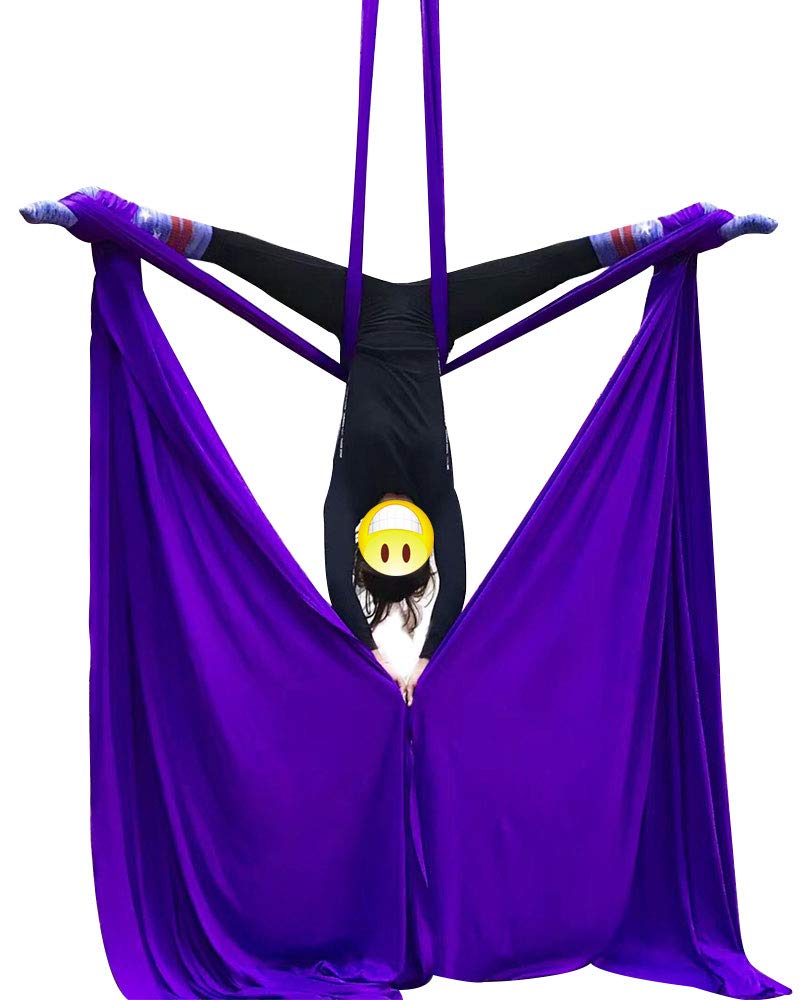 Dasking Premium Aerial Silks Equipment - Safe Deluxe Aerial Kit (Dark Purple)