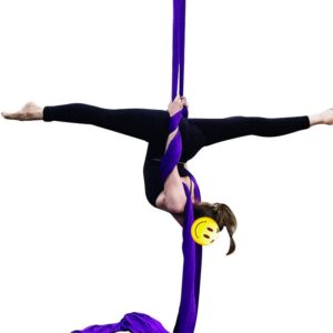 Dasking Premium Aerial Silks Equipment - Safe Deluxe Aerial Kit (Dark Purple)