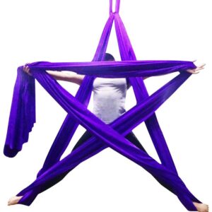 Dasking Premium Aerial Silks Equipment - Safe Deluxe Aerial Kit (Dark Purple)