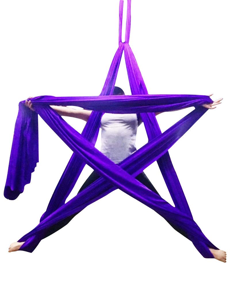 Dasking Premium Aerial Silks Equipment - Safe Deluxe Aerial Kit (Dark Purple)