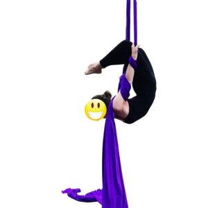 Dasking Premium Aerial Silks Equipment - Safe Deluxe Aerial Kit (Dark Purple)