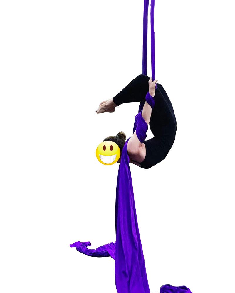 Dasking Premium Aerial Silks Equipment - Safe Deluxe Aerial Kit (Dark Purple)