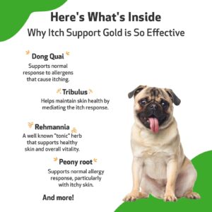 Pet Wellbeing Itch Support Gold for Dogs - Vet-Formulated - Itchy Skin & Paws, Hot Spots, Skin Allergies - Natural Herbal Supplement 2 oz (59 ml)