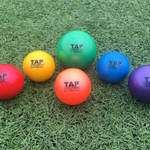 TAP Extreme Duty Weighted Ball Set