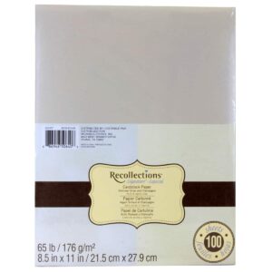 michaels shimmer silver & champagne 8.5”; x 11”; cardstock paper by recollections®, 100 sheets