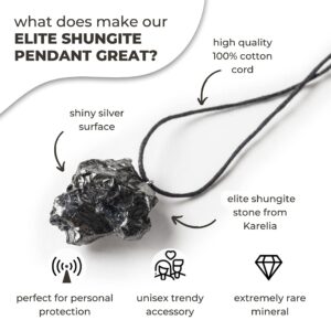 Karelian Heritage Elite Shungite Pendant 0.022-0.033 lb | Natural Black Crystal Jewelry | Necklace with Raw Stone | Crystal Necklace, Meditation, Grounding PE46