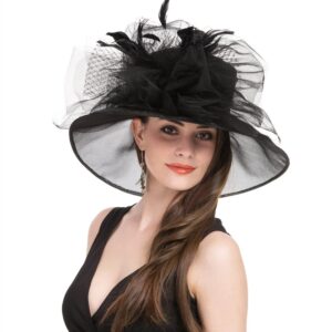 Saferin Womens Church Dress Kentucky Derby Wedding Veil Floral Tea Party Hat Black Feather Mesh Flower Free size