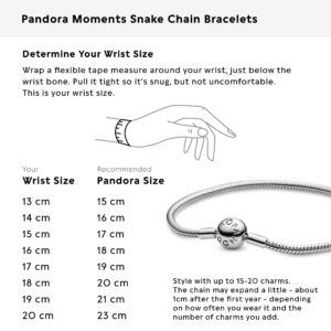 PANDORA Smooth Silver Clasp Bracelet