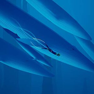 ABZÛ - Xbox One