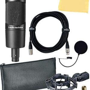 Audio-Technica AT2035 Cardioid Condenser Microphone Bundle with Pop Filter, XLR Cable, and Austin Bazaar Polishing Cloth