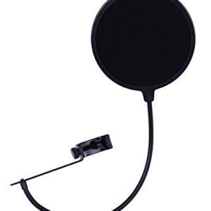 Audio-Technica AT2035 Cardioid Condenser Microphone Bundle with Pop Filter, XLR Cable, and Austin Bazaar Polishing Cloth