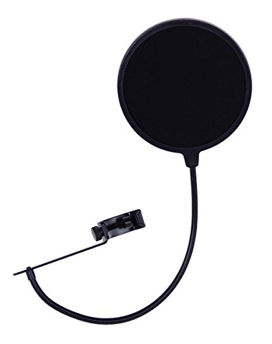 Audio-Technica AT2035 Cardioid Condenser Microphone Bundle with Pop Filter, XLR Cable, and Austin Bazaar Polishing Cloth