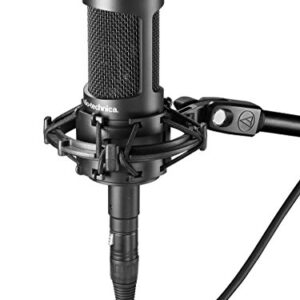 Audio-Technica AT2035 Cardioid Condenser Microphone Bundle with Pop Filter, XLR Cable, and Austin Bazaar Polishing Cloth