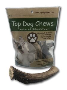 top dog chews premium large grade a whitetail deer antler for dogs - single antler