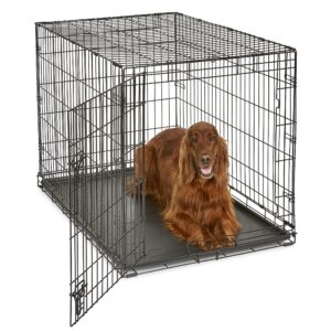 New World Newly Enhanced Single Door New World Dog Crate, Includes Leak-Proof Pan, Floor Protecting Feet, & New Patented Features, 42 Inch