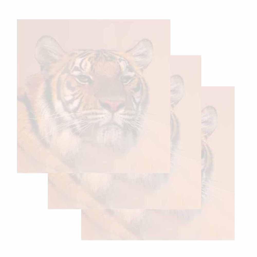 Tiger Face Sticky Notes - Set of 3 - Wildlife Animal Theme Design - Stationery Gift - Paper Memo Pad - Office and School Supplies