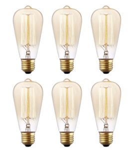 rolay 6 pack, 25 watt vintage edison light bulb with squirrel cage filament, 110~130 volts, e26 base